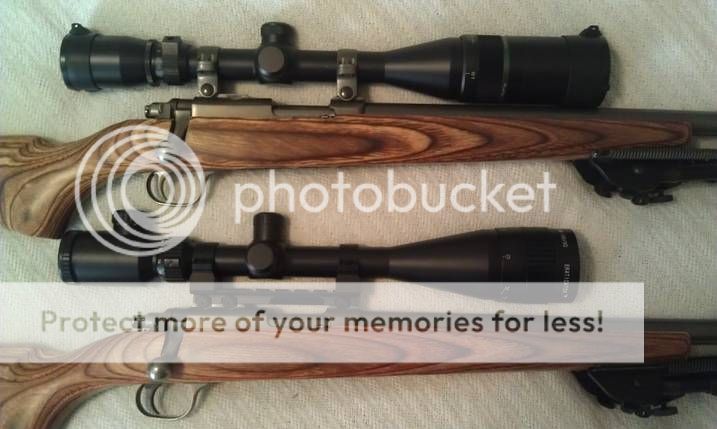 77/22 Rings or Weigand Rail Mount? | Rimfire Central Firearm Forum